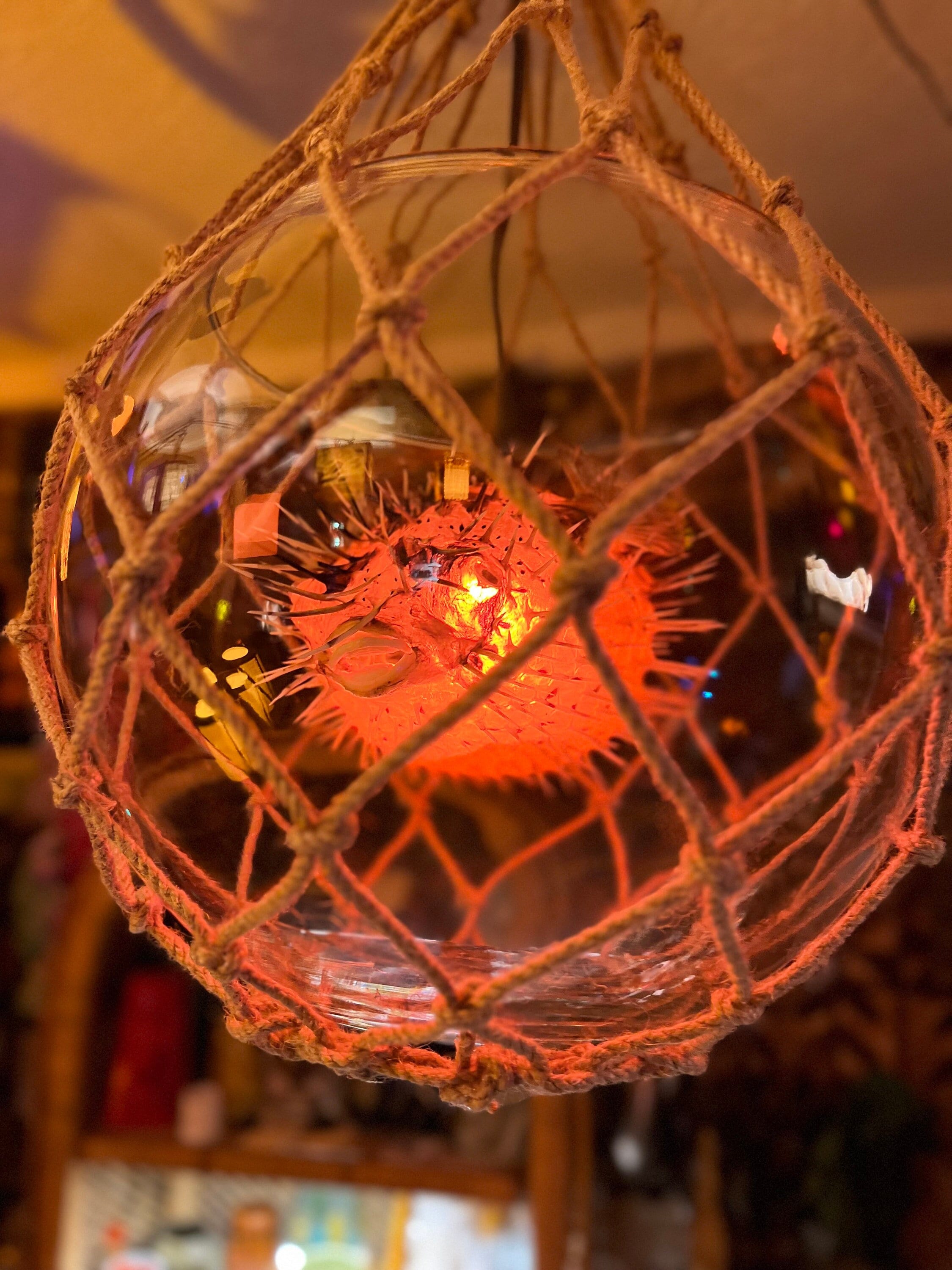 Tiki Lamp Puffer Fish in Float Glass Light Pendant Ceiling Decor Bar ...
