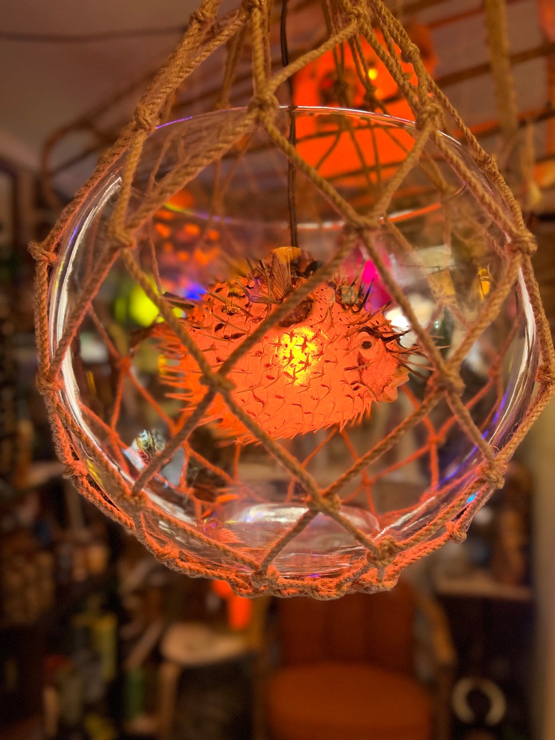 Tiki Lamp Puffer Fish in Float Glass Light Pendant Ceiling Decor Bar ...