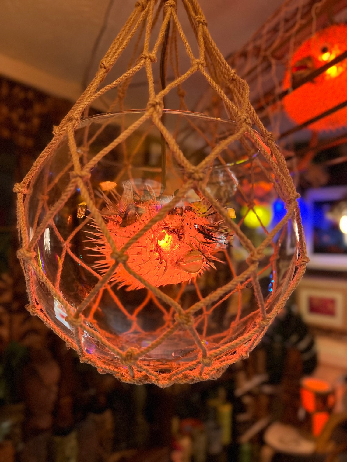 Tiki Lamp Puffer Fish in Float Glass Light Pendant Ceiling Decor Bar ...