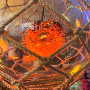Tiki Lamp Puffer Fish in Float Glass Light Pendant Ceiling Decor Bar ...