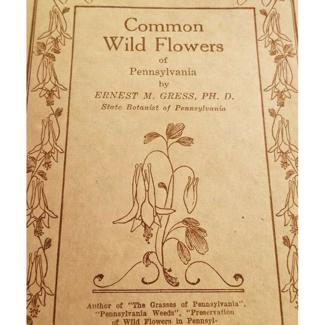 1928 Common Wild Flowers of PENNSYLVANIA Ernest M Gress Botanist ...