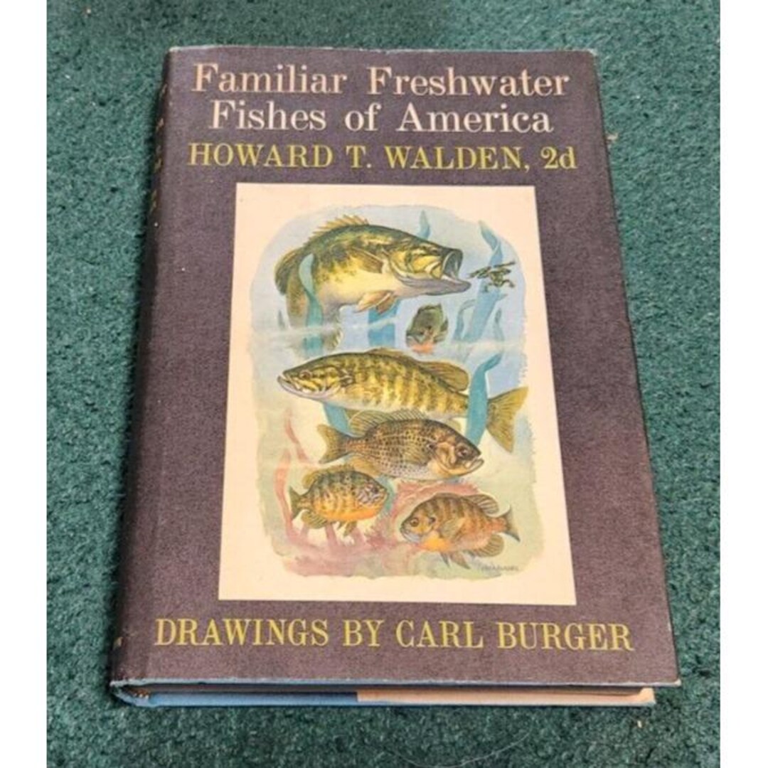 1964 Familiar Freshwater Fishes of America Howard Walden Drawings Carl ...