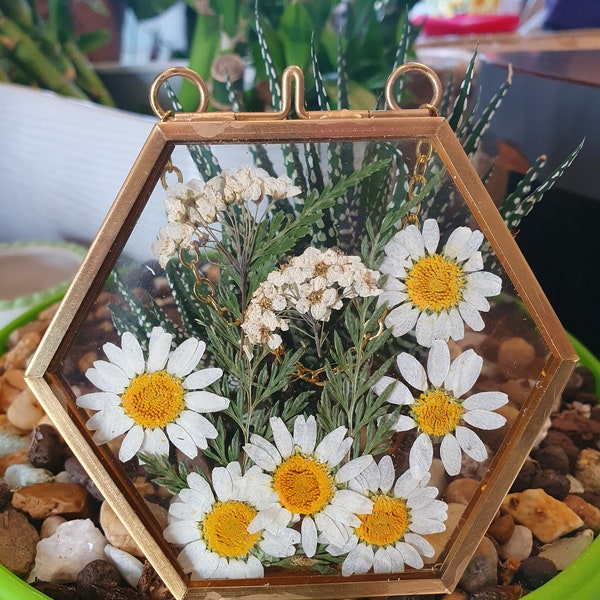 Real Pressed Flowers Wall Art - Etsy