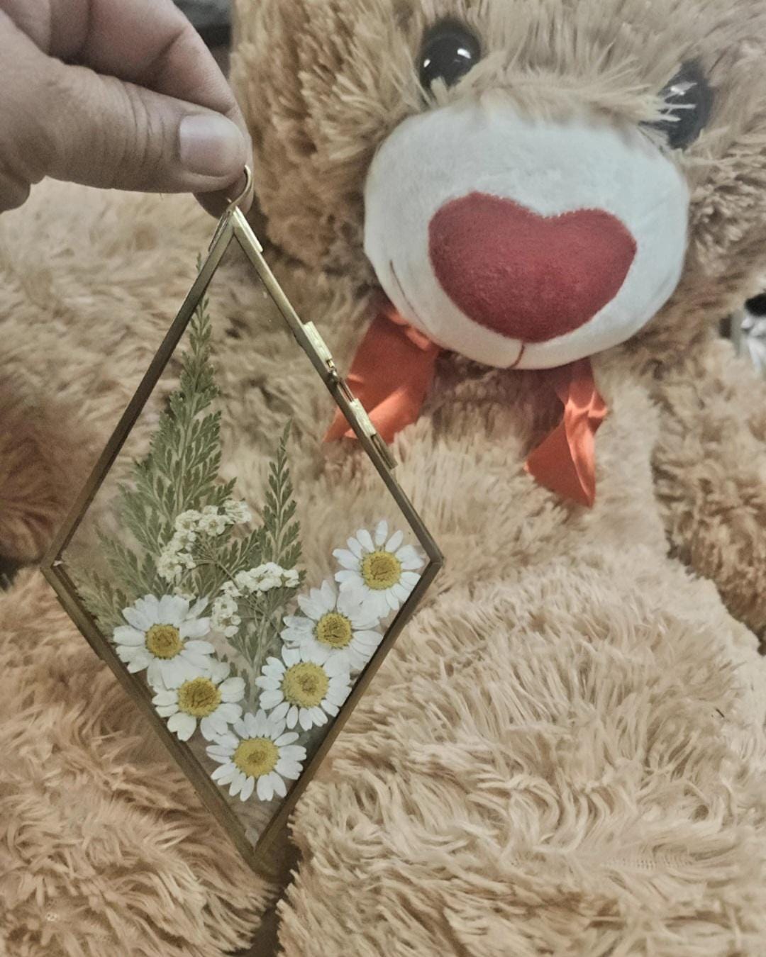 Wall Art Dried Pressed Real White Daisey and Narcissus Flowers in Glass ...