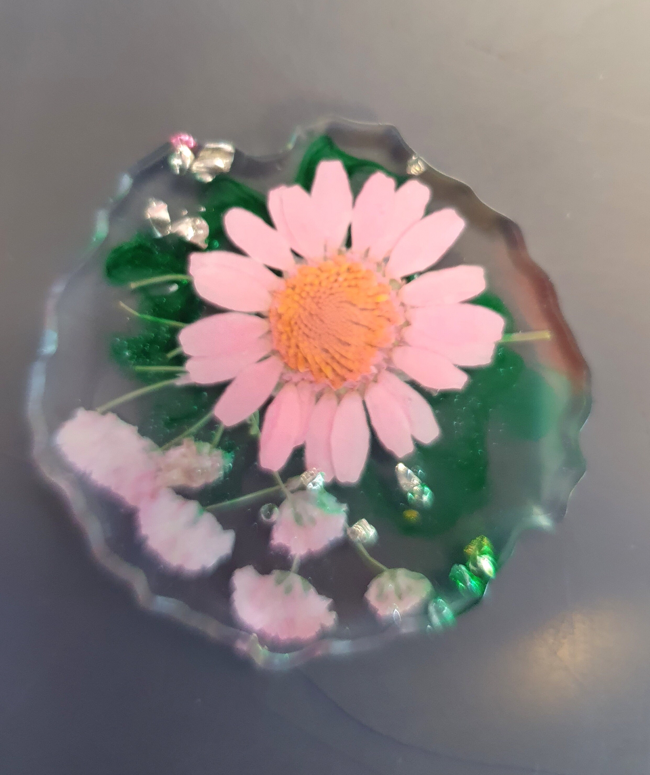 Phone Grip, Pressed Dried Daisy Flower Phone Grip, Floral Phone Grip ...