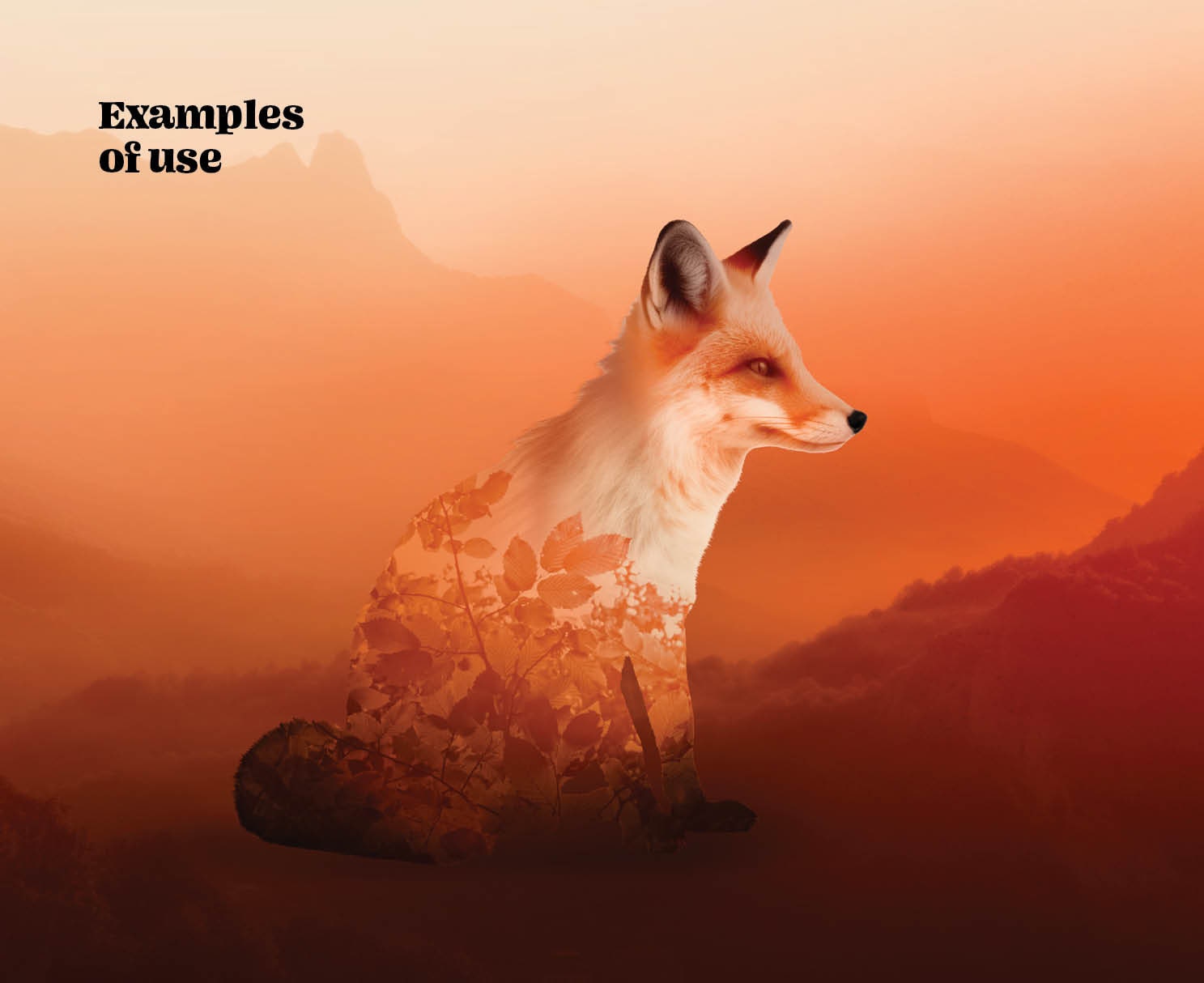 Double Exposure Procreate Set Animals, Plants, Landscapes & Atmosphere ...