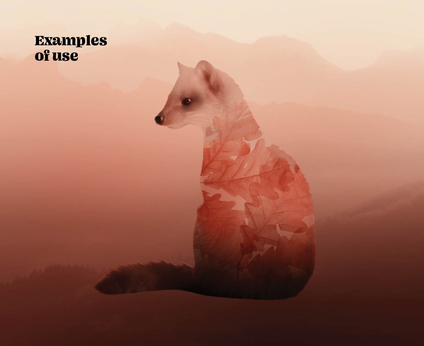 Double Exposure Procreate Set Animals, Plants, Landscapes & Atmosphere ...