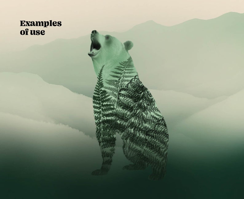 Double Exposure Procreate Set Animals, Plants, Landscapes & Atmosphere ...