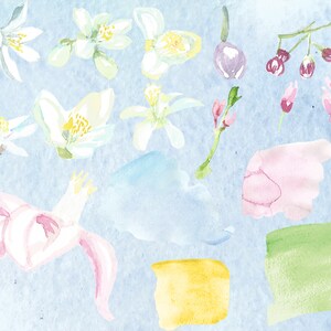 Digital 40 Watercolor Citron Clip Art, Frames, Citrus Digital Collage ...