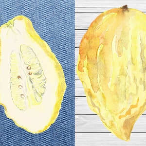 Digital 40 Watercolor Citron Clip Art, Frames, Citrus Digital Collage ...