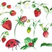 Digital Watercolor Strawberry Clipart, Printable Scrapbooking, Food ...