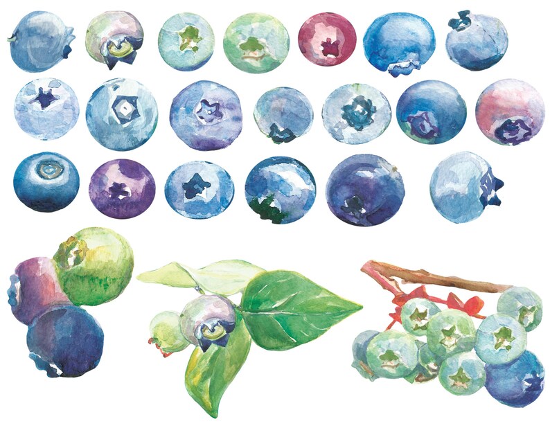 Digital Watercolor Blueberry Clipart, Printable Berries Scrapbooking ...