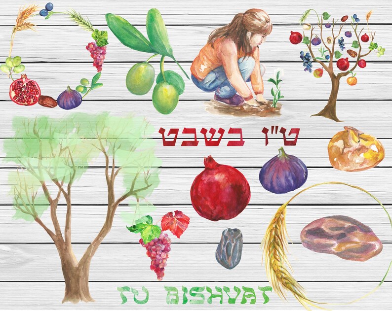 Digital Tu Bishvat Watercolor Clipart for Scrapbooking, Papercrafts ...