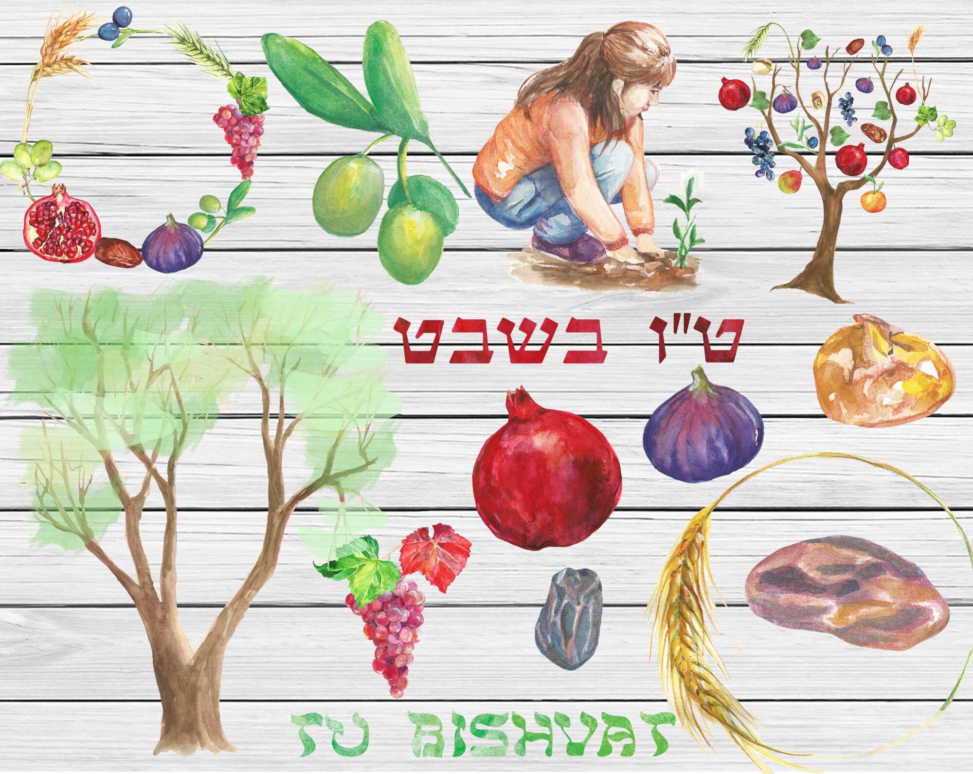 Digital Tu Bishvat Watercolor Clipart for Scrapbooking, Papercrafts ...