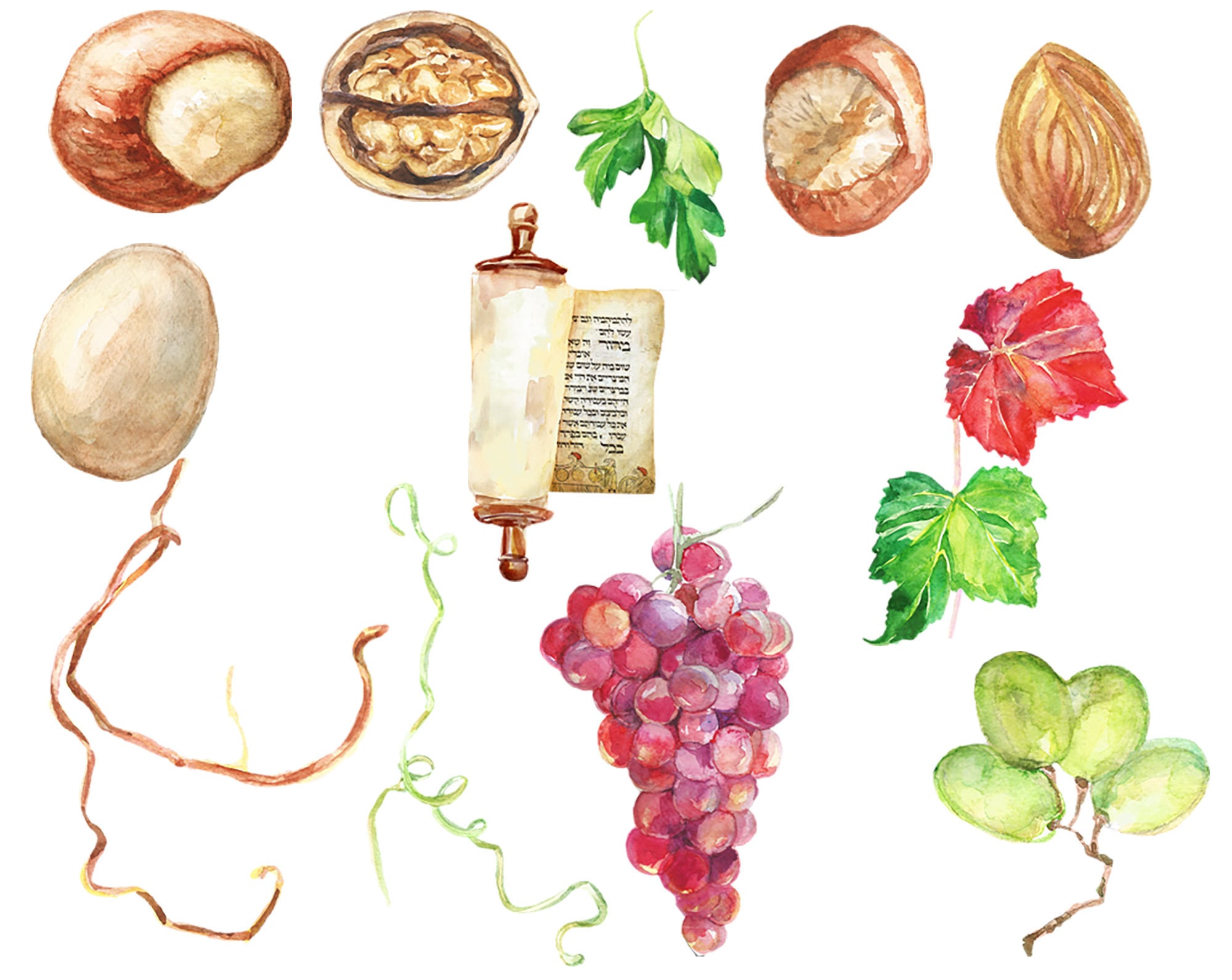 Digital Happy Passover Watercolor Clipart for Scrapbooking, Papercrafts ...
