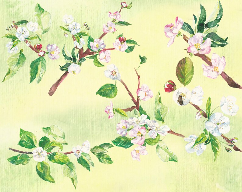 Digital Watercolor Apple Tree Branches Clipart, Printable Digital ...