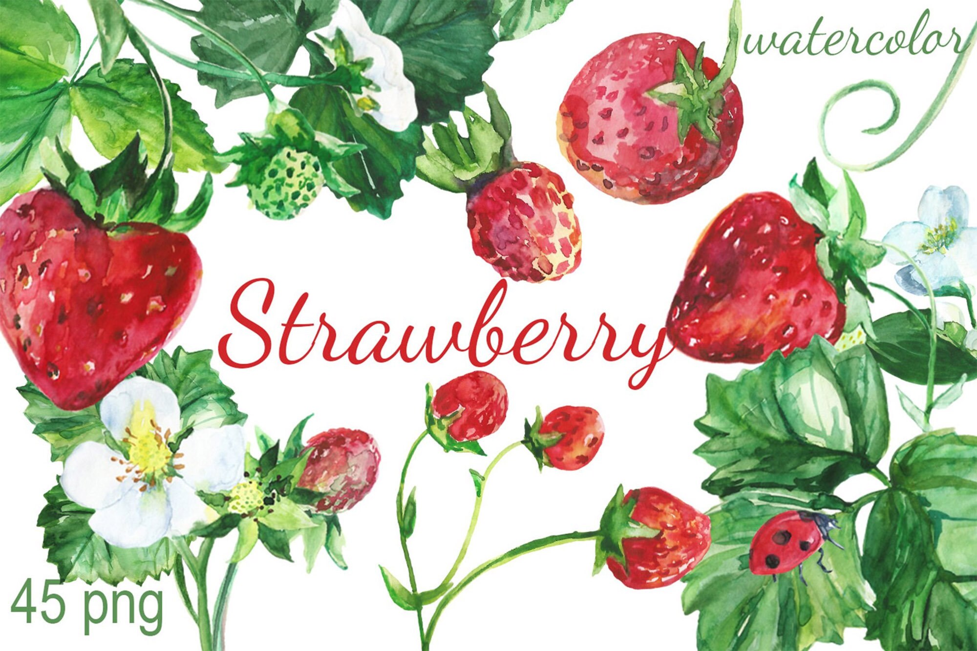 Digital Watercolor Strawberry Clipart, Printable Scrapbooking, Food ...