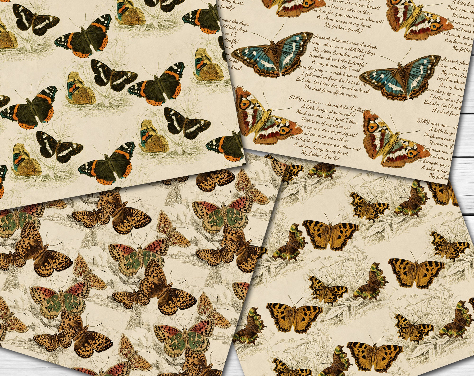 Digital Vintage Butterflies Seamless Papers, 16 Printable Scrapbooking ...