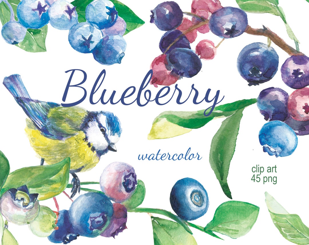 Digital Watercolor Blueberry Clipart, Printable Berries Scrapbooking ...