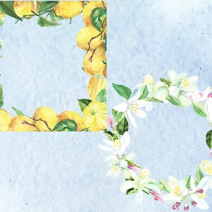 Digital 40 Watercolor Citron Clip Art, Frames, Citrus Digital Collage ...