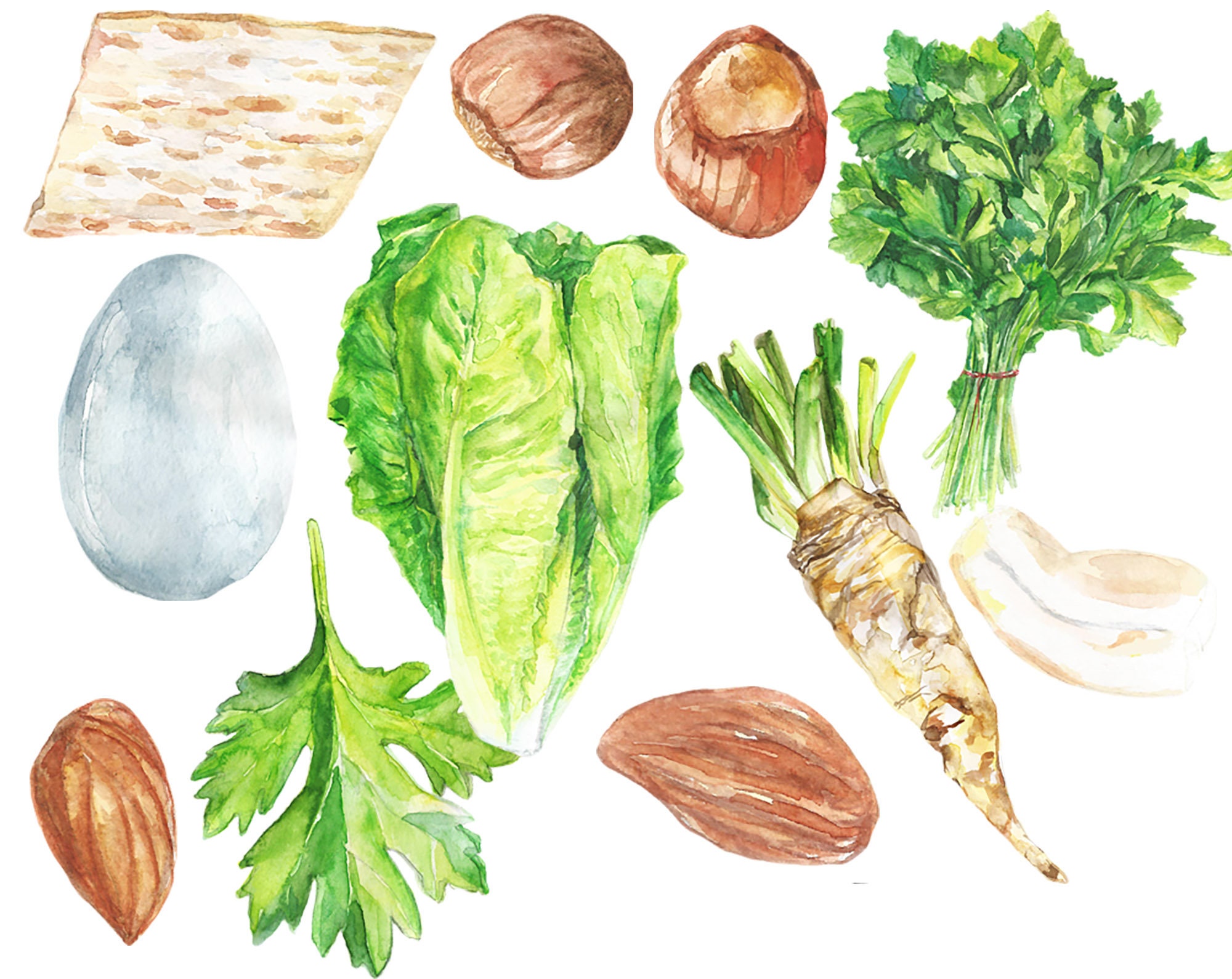 Digital Happy Passover Watercolor Clipart for Scrapbooking, Papercrafts ...