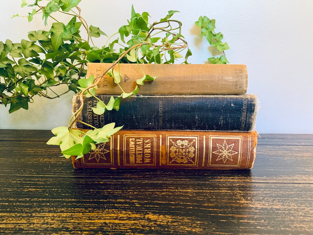 Vintage Book Collection, Stack of 3 Neutrals - Etsy