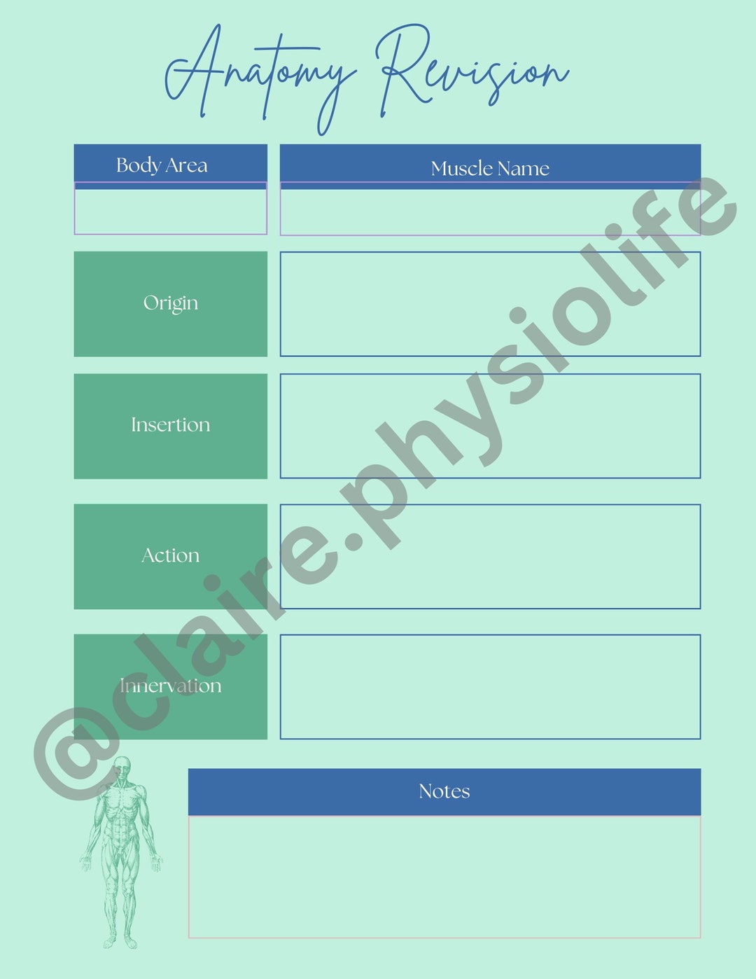 Anatomy Revision Template Instant Download - Etsy