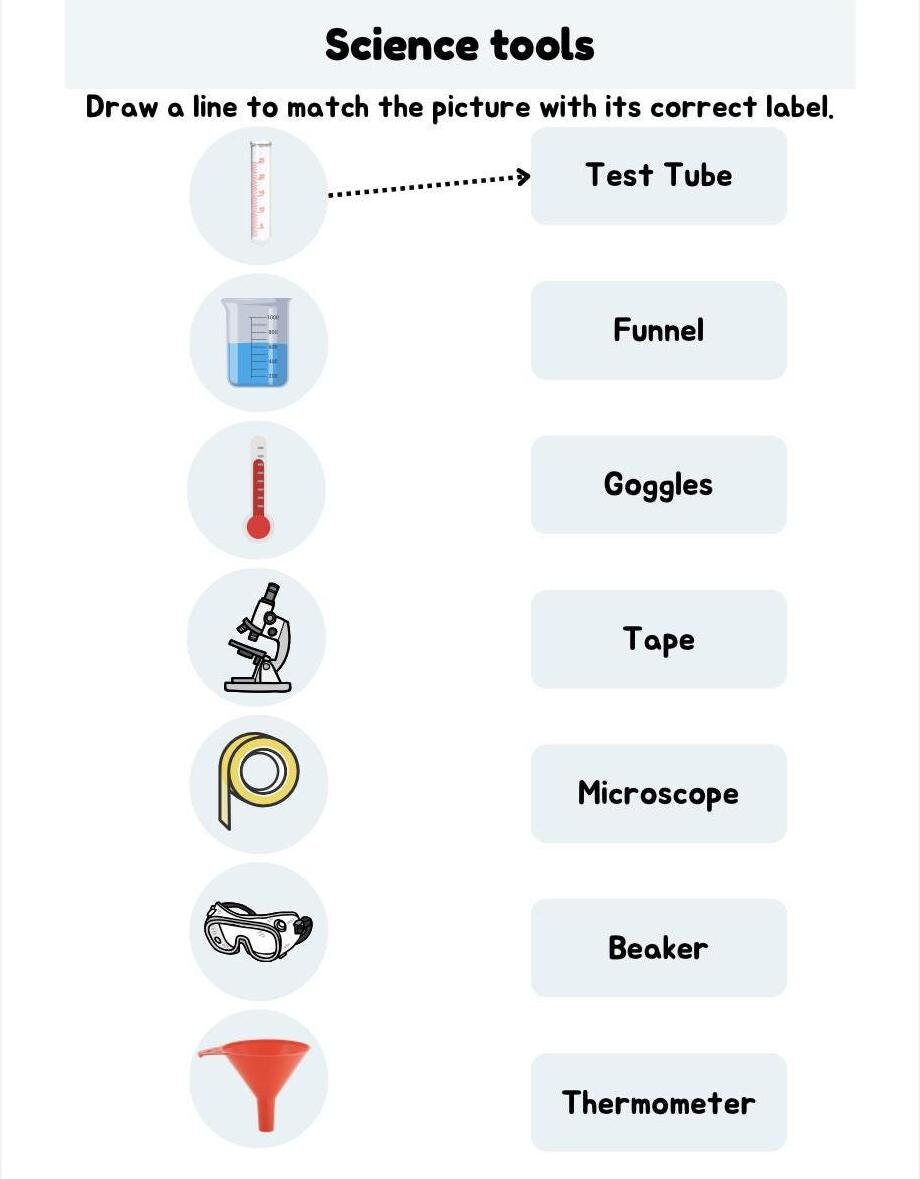 Science Tools Worksheet – K-2 Grades, Homeschool Printable (digital ...