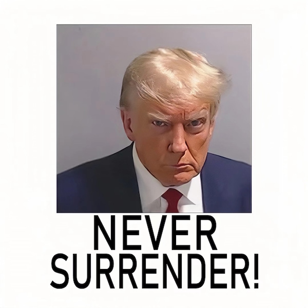 Trump Mug Shot Bumper Stickers - Etsy