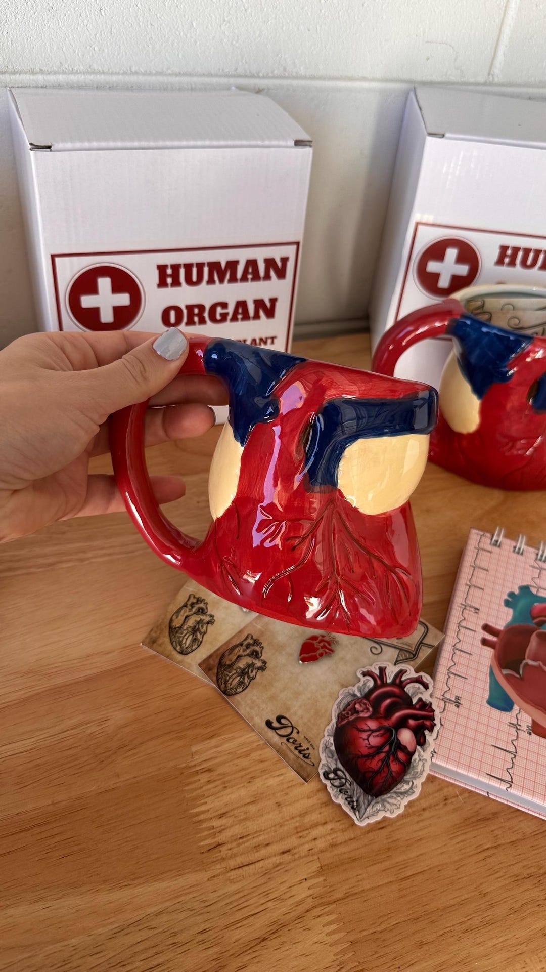 Heart Anatomy Mug - Etsy