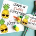Have a Sweet Summer Pineapple End of the Year Gift Tags & Cards for ...