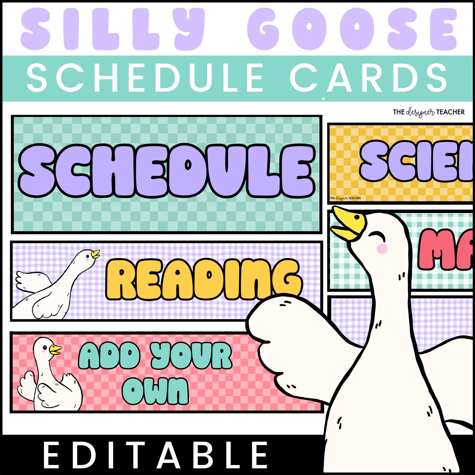 Silly Goose Editable Schedule Cards | Classroom Teacher School Gingham ...