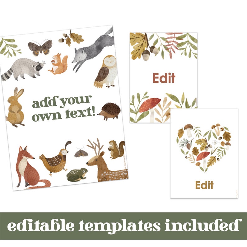 Inspirational Growth Mindset Inclusive Boho Woodland Classroom - Etsy