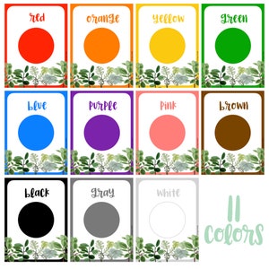 Plant Theme Classroom Color Posters Botanical Classroom Decor - Etsy