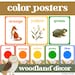 Boho Watercolor Woodland 2D and 3D Shapes Posters Classroom - Etsy