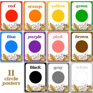 Woodland Theme Colors Posters Forest Theme Classroom Decor - Etsy