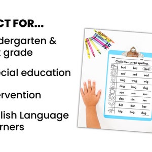 Beginning Phonics Review 25 Worksheets for CVC Words, Digraphs, Blends ...