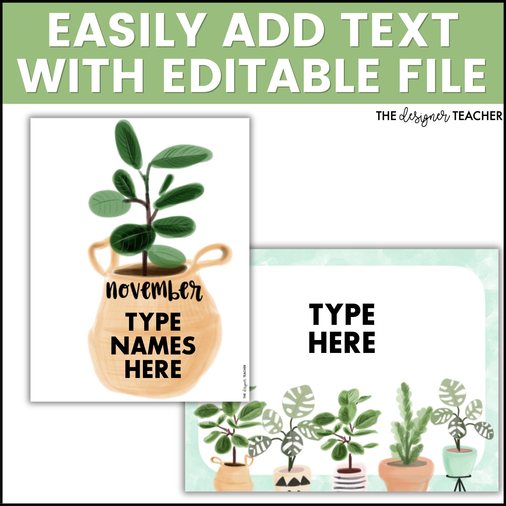 Editable Classroom Birthday Chart and Bulletin Board Display ...