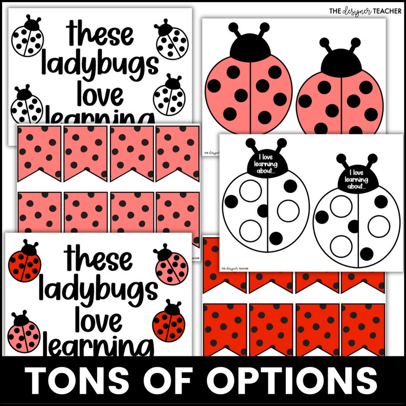 Spring March April May Ladybug Bulletin Board Craft and Door Decor - Etsy