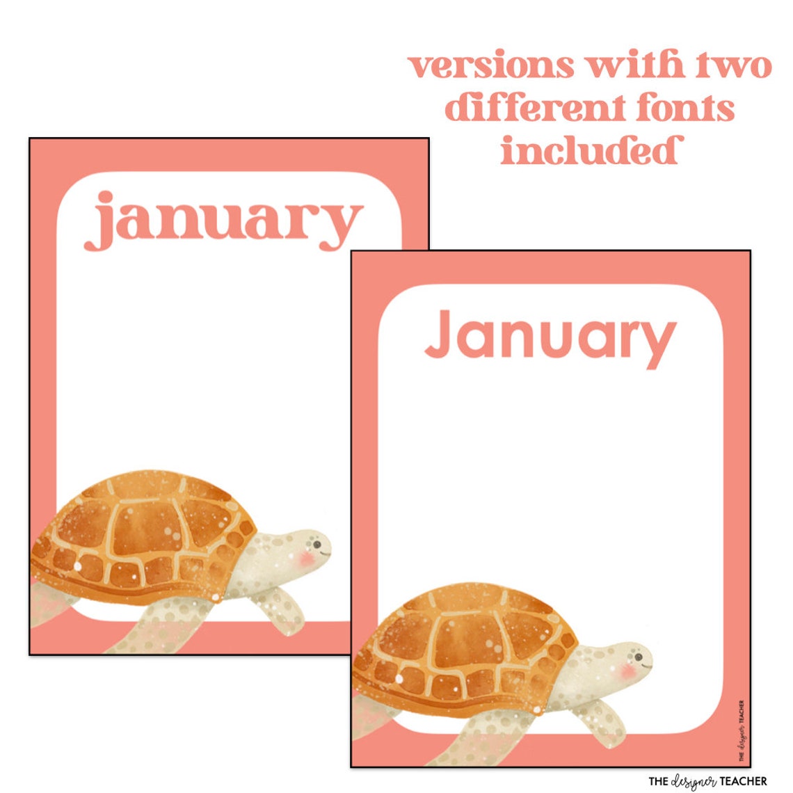 Editable Birthday Display With Ocean Theme Under the Sea - Etsy