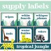 Editable Classroom Calendar Kit With Modern Tropical Jungle Theme - Etsy