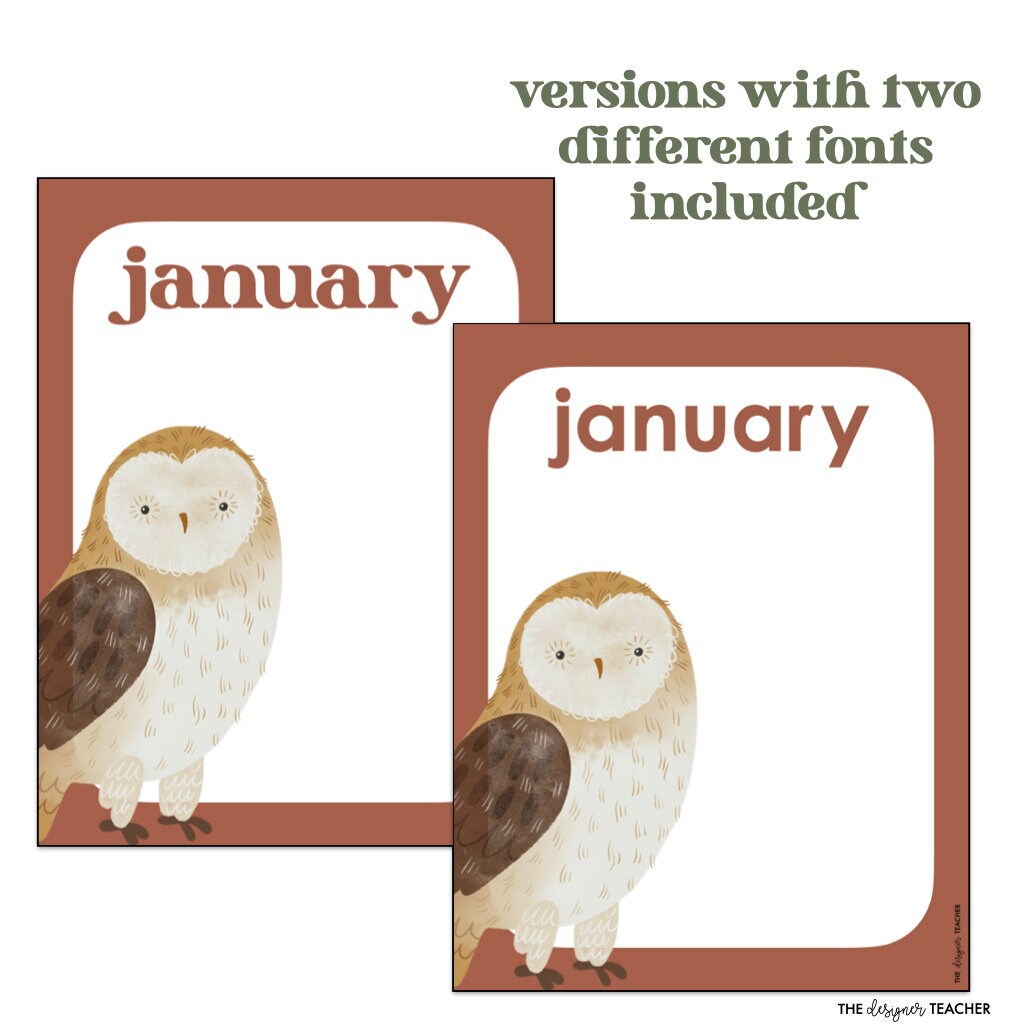 Editable Classroom Birthday Chart and Bulletin Board Display | Boho ...