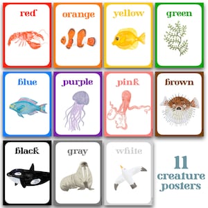 Ocean Theme Colors Posters Under the Sea Classroom Decor - Etsy