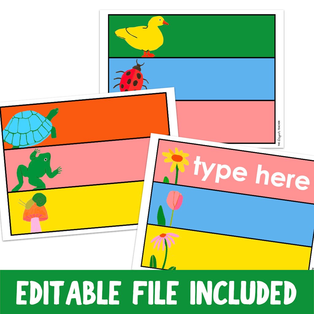 Editable Schedule Cards With Bright Garden Theme Classroom Decor - Etsy