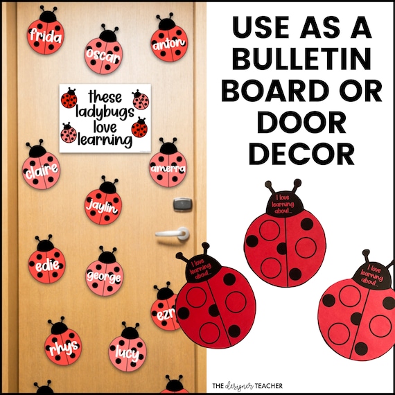 Ladybug Bulletin Board Border