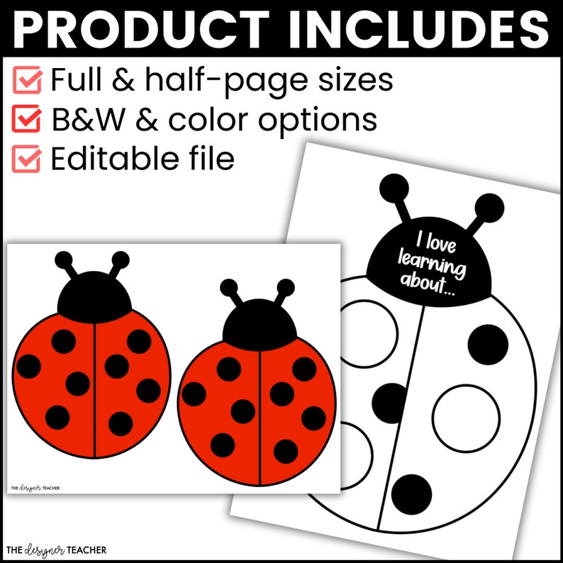 Spring March April May Ladybug Bulletin Board Craft and Door Decor - Etsy