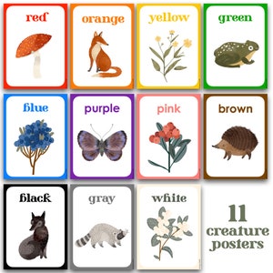 Woodland Theme Colors Posters Forest Theme Classroom Decor - Etsy