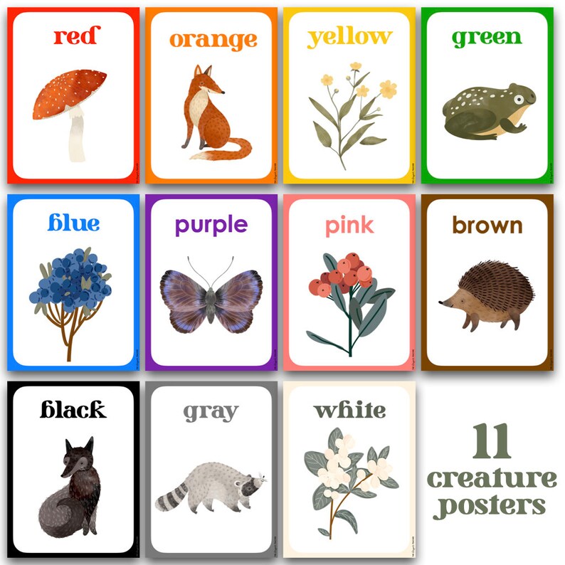 Woodland Theme Colors Posters Forest Theme Classroom Decor - Etsy