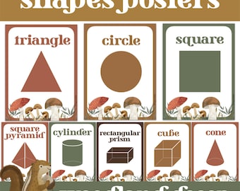 2D and 3D SHAPES POSTERS for Classroom, Set of 21 Printable Woodland ...