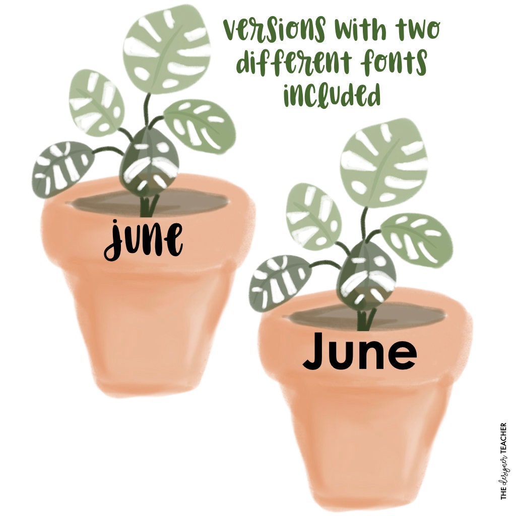 Plant Theme Editable Classroom Birthday Bulletin Board Display - Etsy